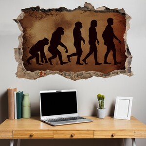 Evolution of Human Educational Wall Sticker Art Poster Mural Transfer ...