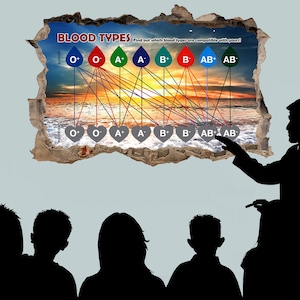 Blood Type Chart Compatibility Educational Wall Sticker Art Poster ...