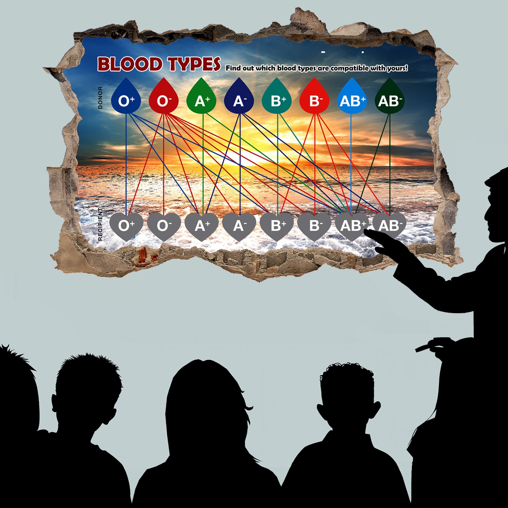 Blood Type Chart Compatibility Educational Wall Sticker Art - Etsy UK