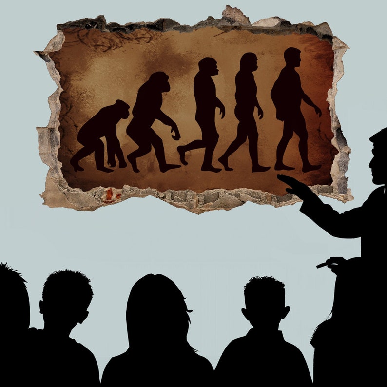 Evolution of Human Educational Wall Sticker Art Poster Mural - Etsy