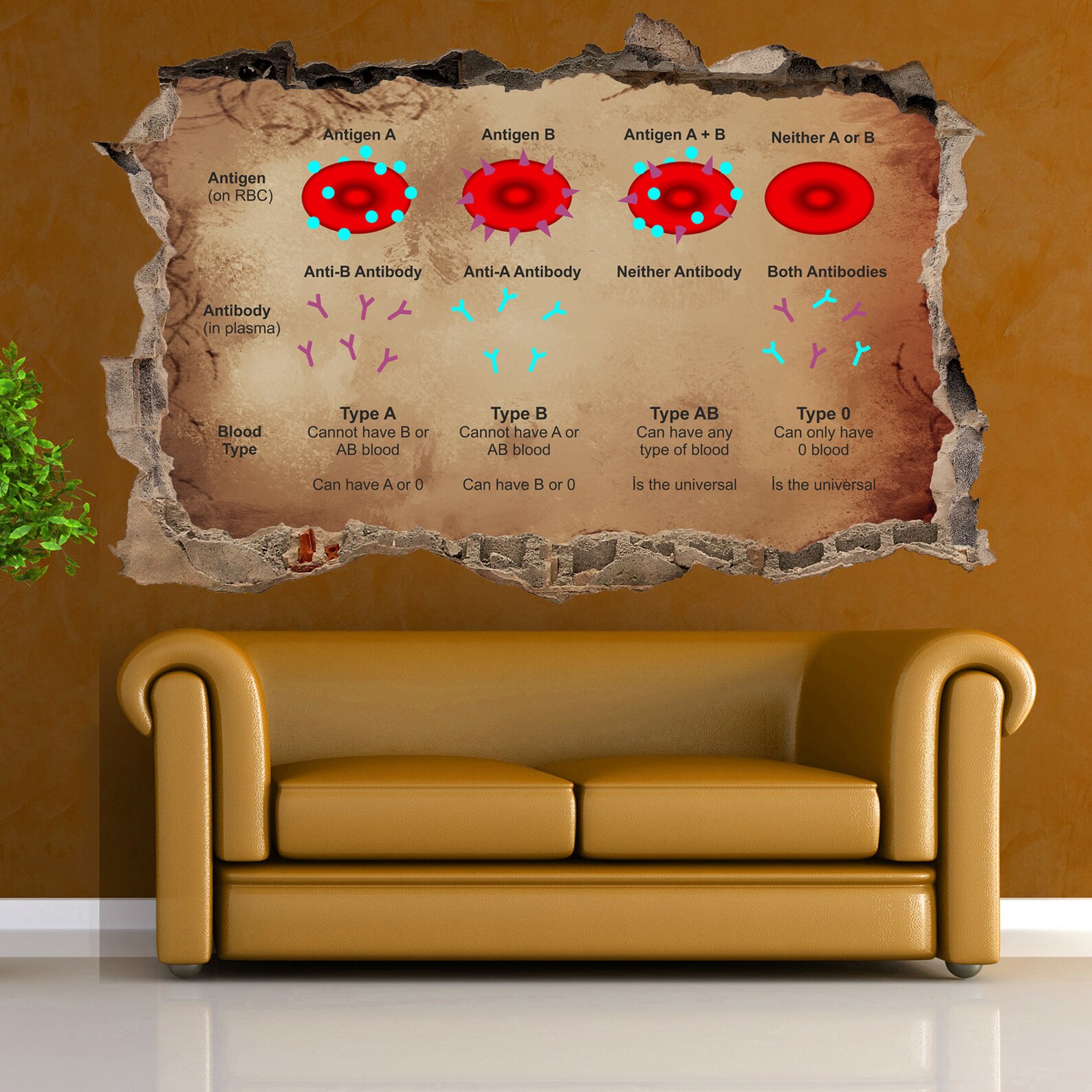 Blood Type Chart With Antigens Compatibility Educational Wall Sticker ...