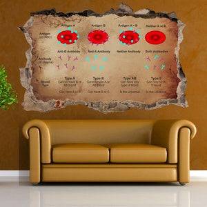 Blood Type Chart With Antigens Compatibility Educational Wall Sticker ...