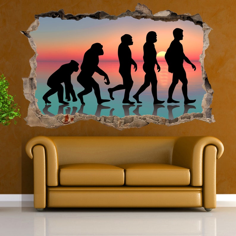Evolution of Human Educational Wall Sticker Art Poster Mural Transfer ...