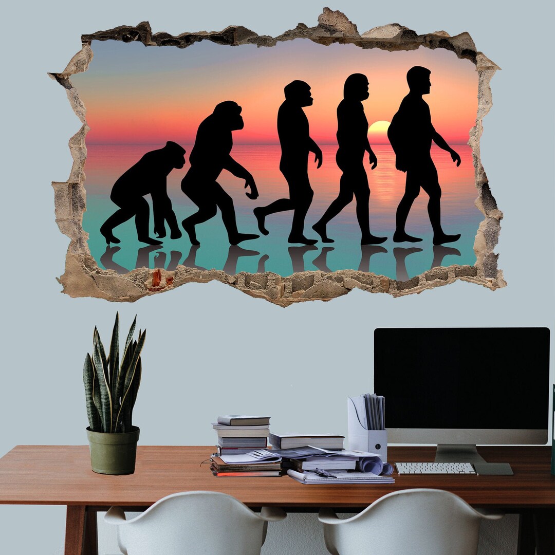 Evolution of Human Educational Wall Sticker Art Poster Mural Transfer ...