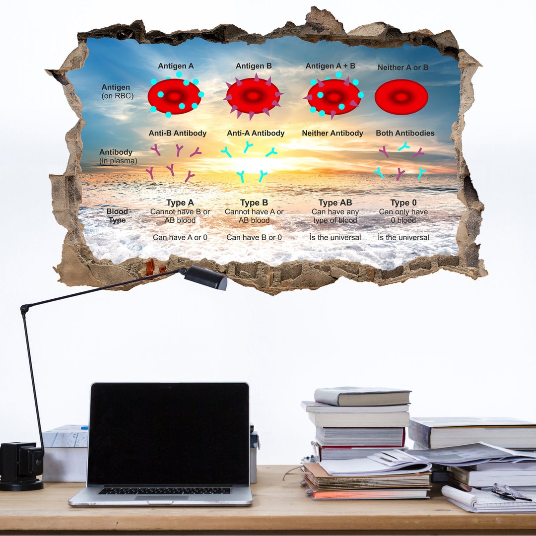 Blood Type Chart With Antigens Biology Educational Wall Sticker Art ...