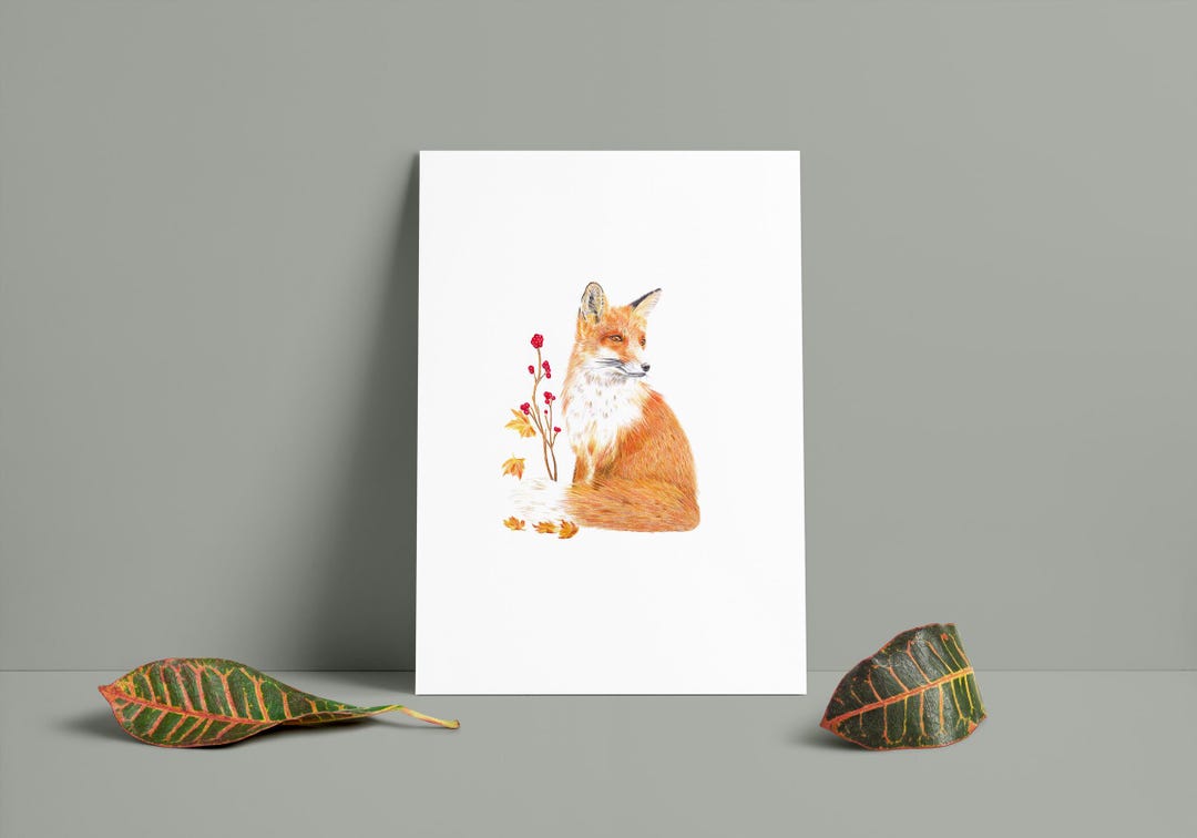 Fox Illustration, A5 Poster • Roux Little Fox Collection - Etsy