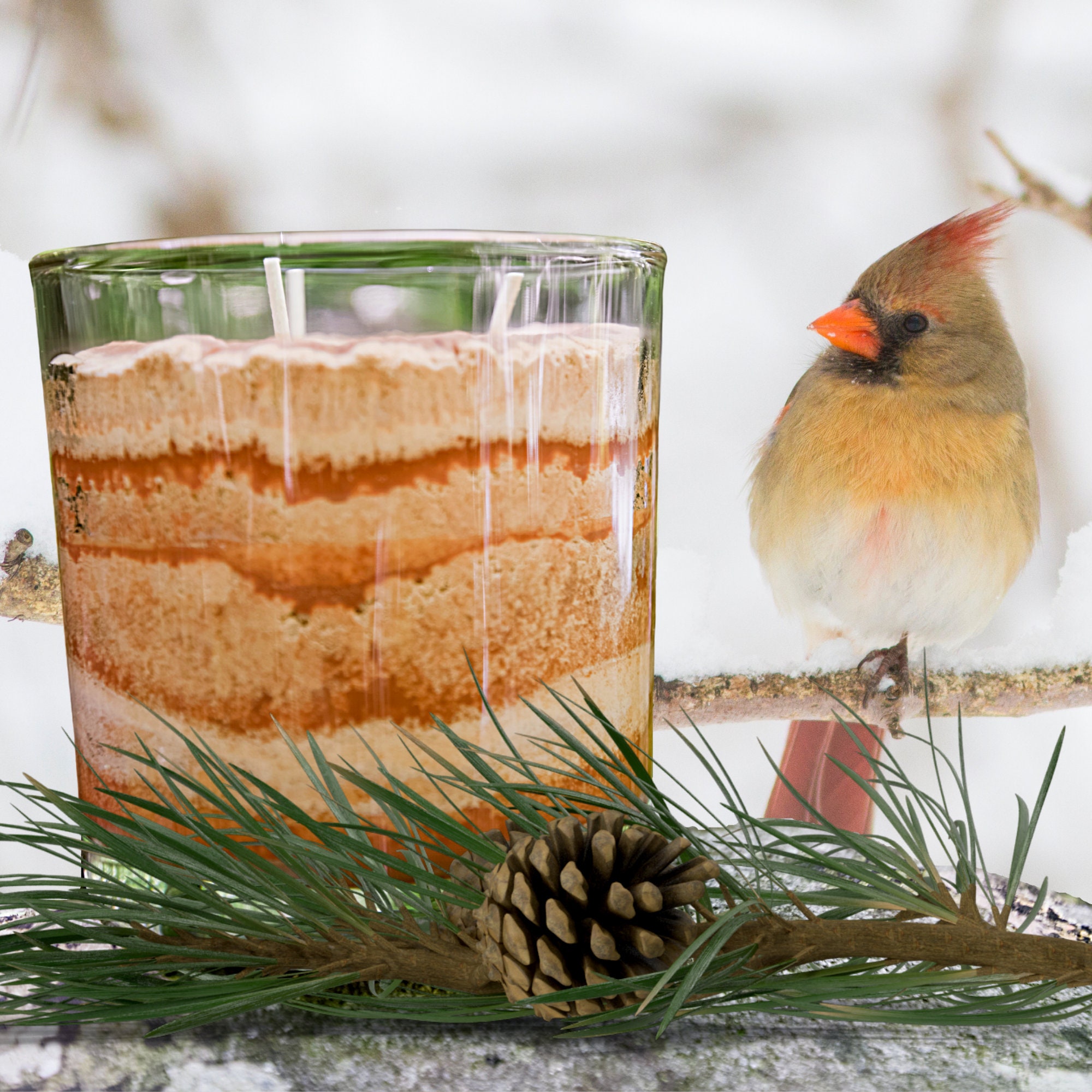 Ponderosa Pine Cone Scented Candles Unique Candles Christmas Candle ...