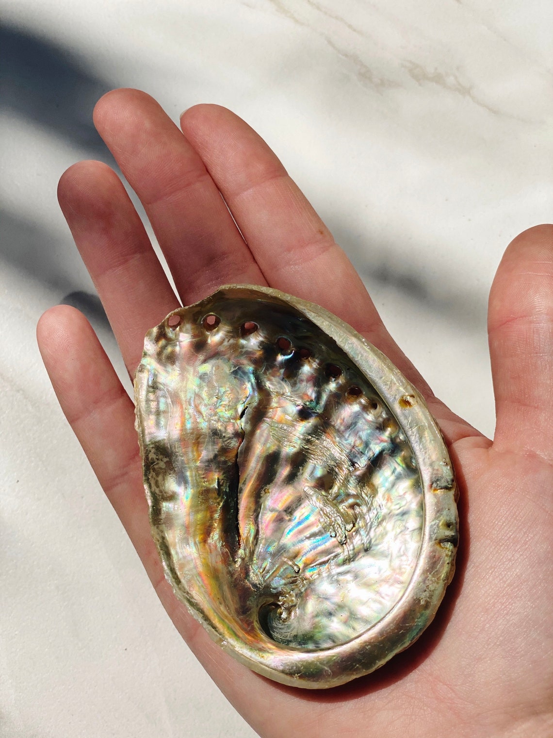 Small Abalone Shells for Incense - Etsy Denmark