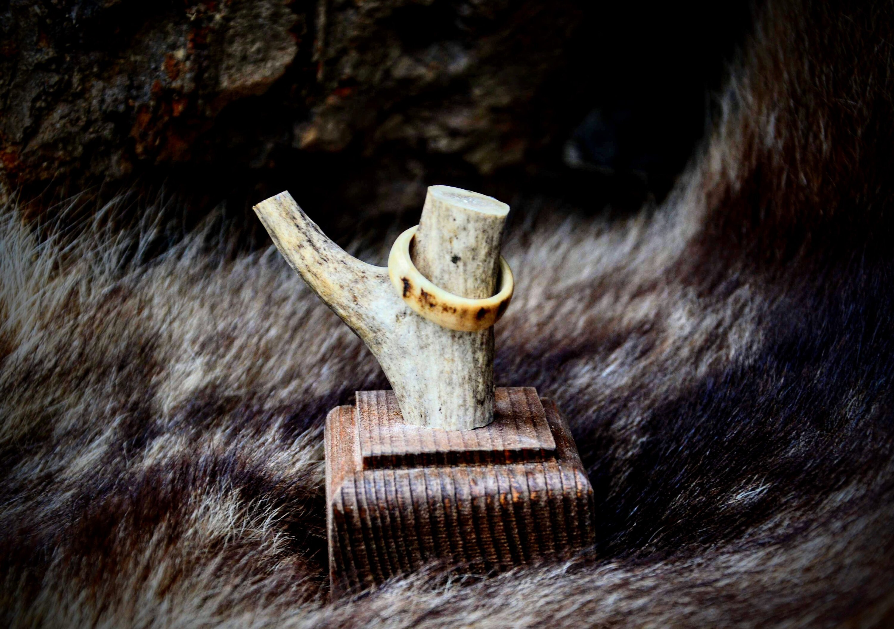 Deer Antler Stand for Rings Stand Made From Antler - Etsy