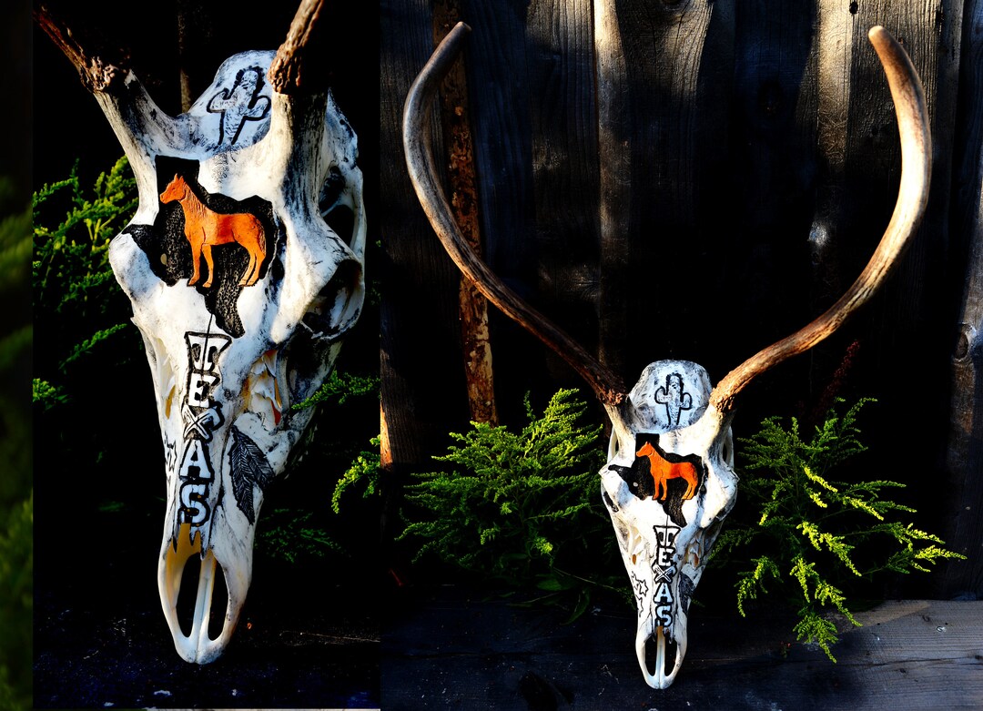 Real Deer Skull, Carved Deer, Skull Deer Skull With Antlers, Perfect ...