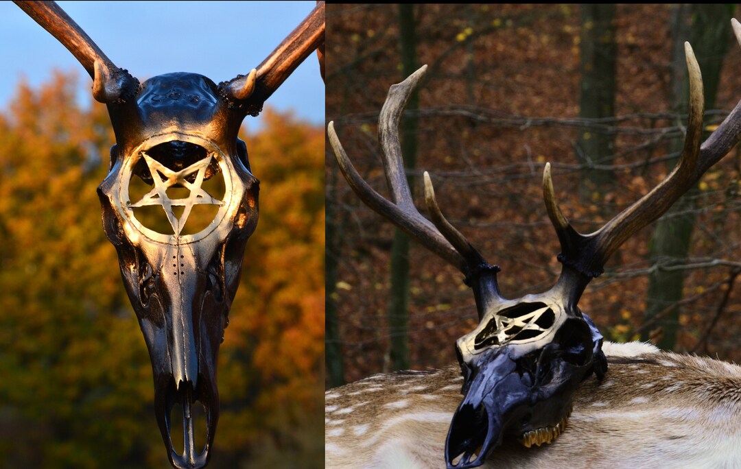 MADE TO ORDER Carved Deer Skull With Carved Pentagram Real Deer Skull ...