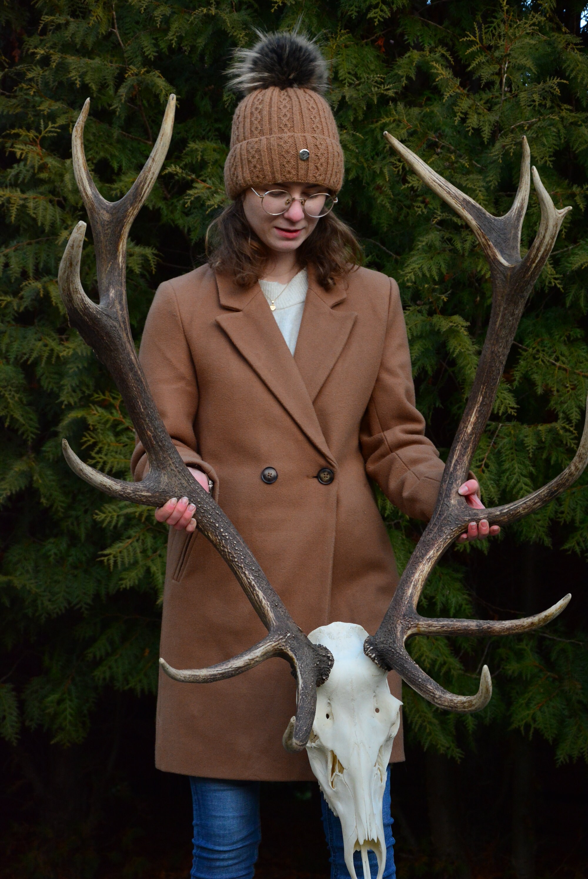 HUGE BULL Rare Red Deer Skull cervus Elaphus Self-montage - Etsy UK