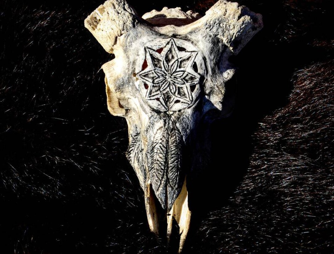 MADE TO ORDER, Carved Ram Skull, Without Horns, Dream Catcher, Skull ...