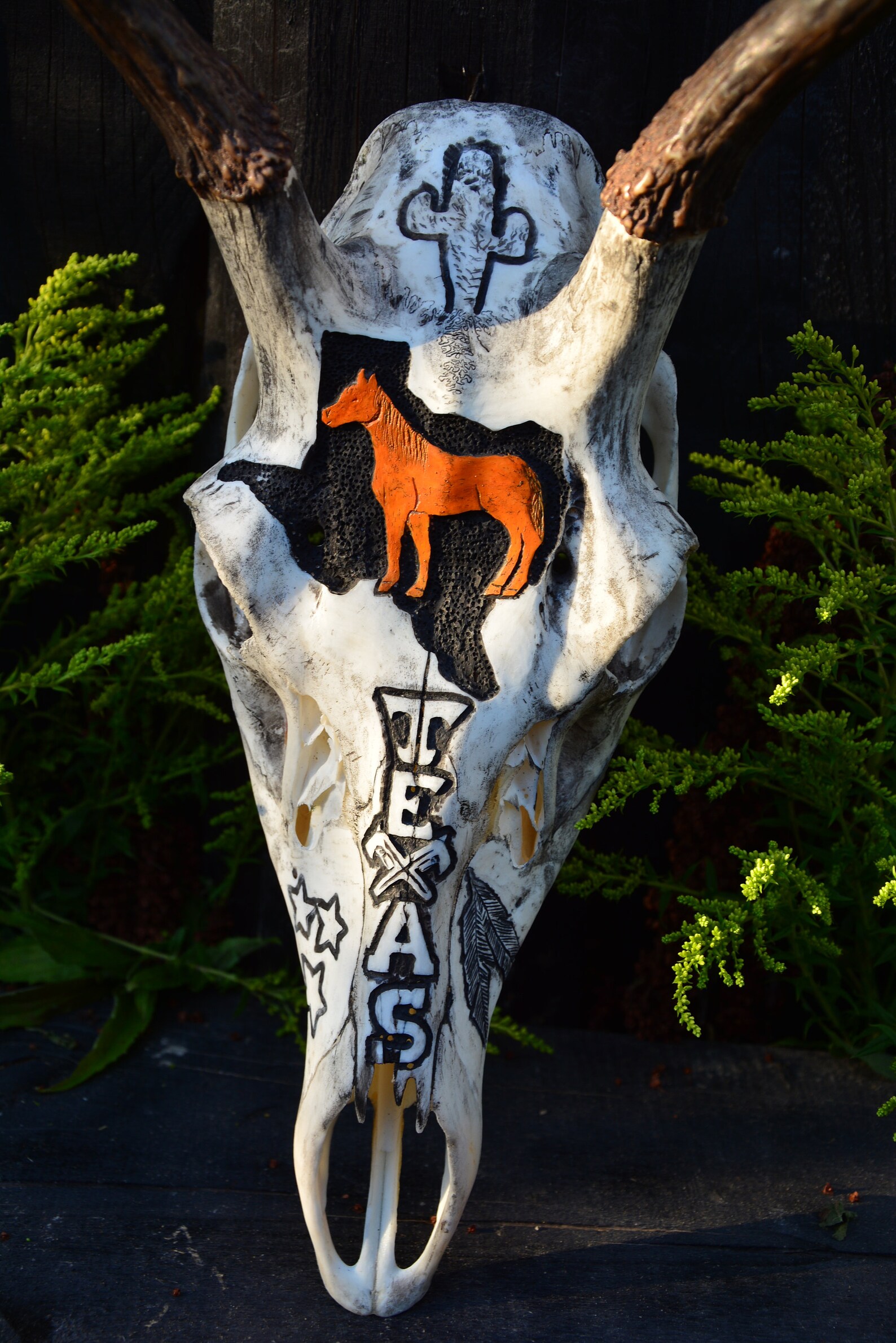 Real deer skull Carved deer skull deer skull with antlers | Etsy