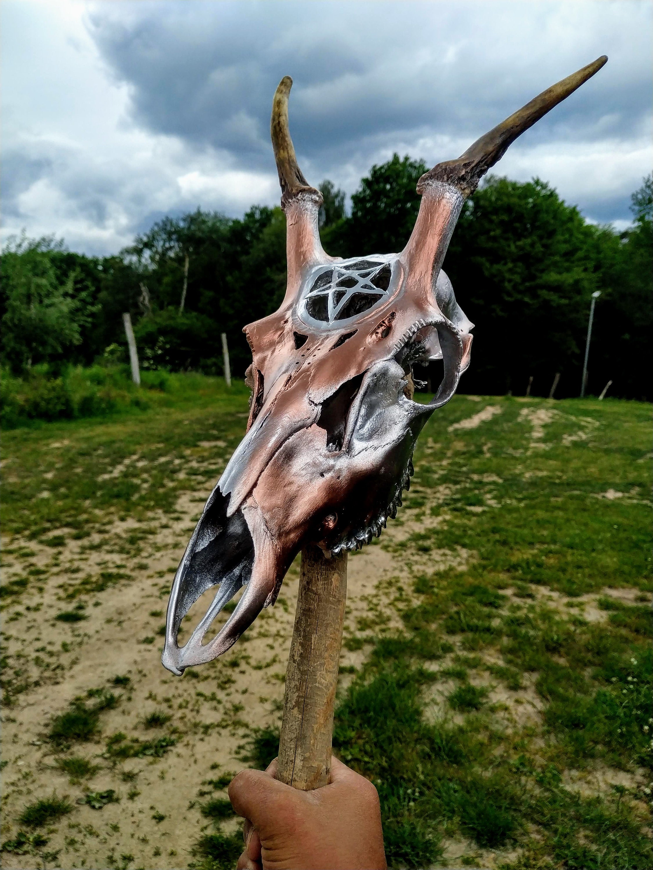Coool skull staff MADE TO ORDER Carved deer skull with a | Etsy