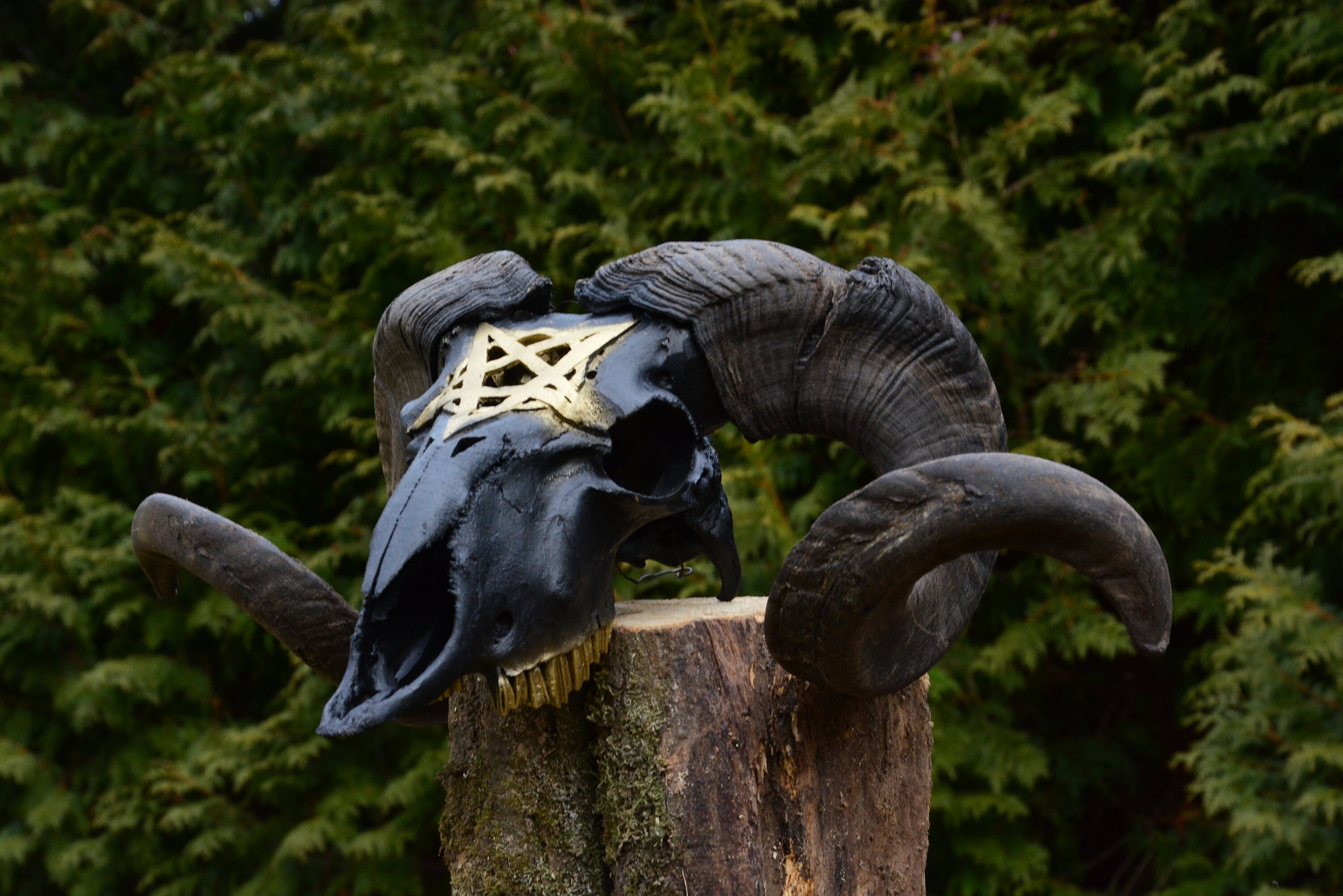 Huge Ram Skull With Carved Pentagram, Black and Gold, MADE TO ORDER - Etsy