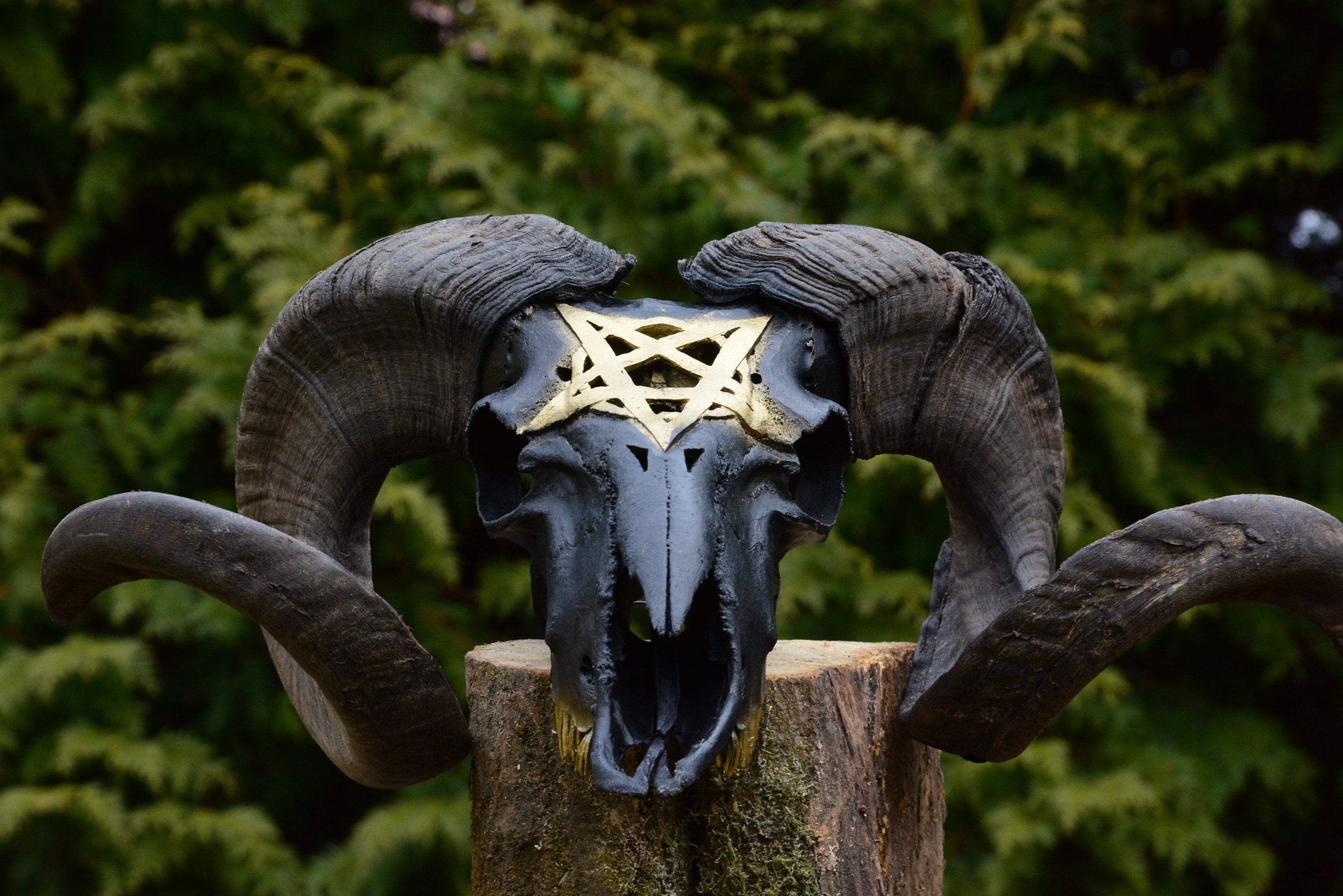 Huge Ram Skull With Carved Pentagram, Black and Gold, MADE TO ORDER - Etsy