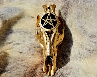 Painted Hog Skull - Etsy