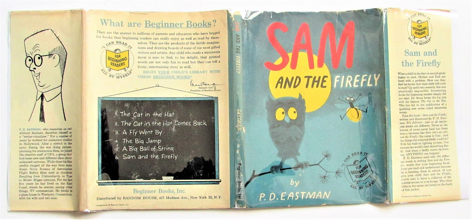 Sam and the Firefly EARLY Beginner Book W/dj - Etsy