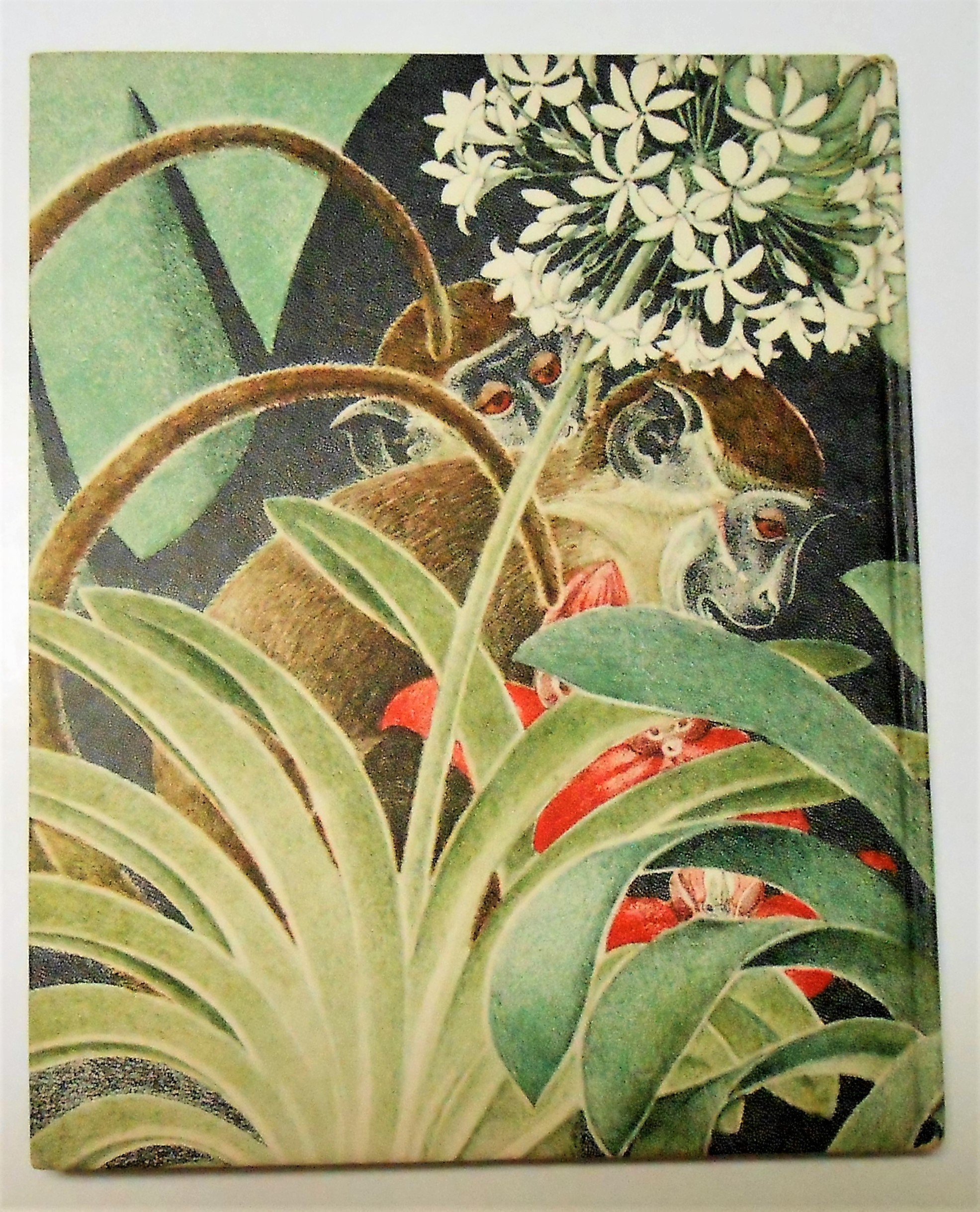 Mr. Bumps and His Monkey Illustrated by Dorothy Lathrop - Etsy