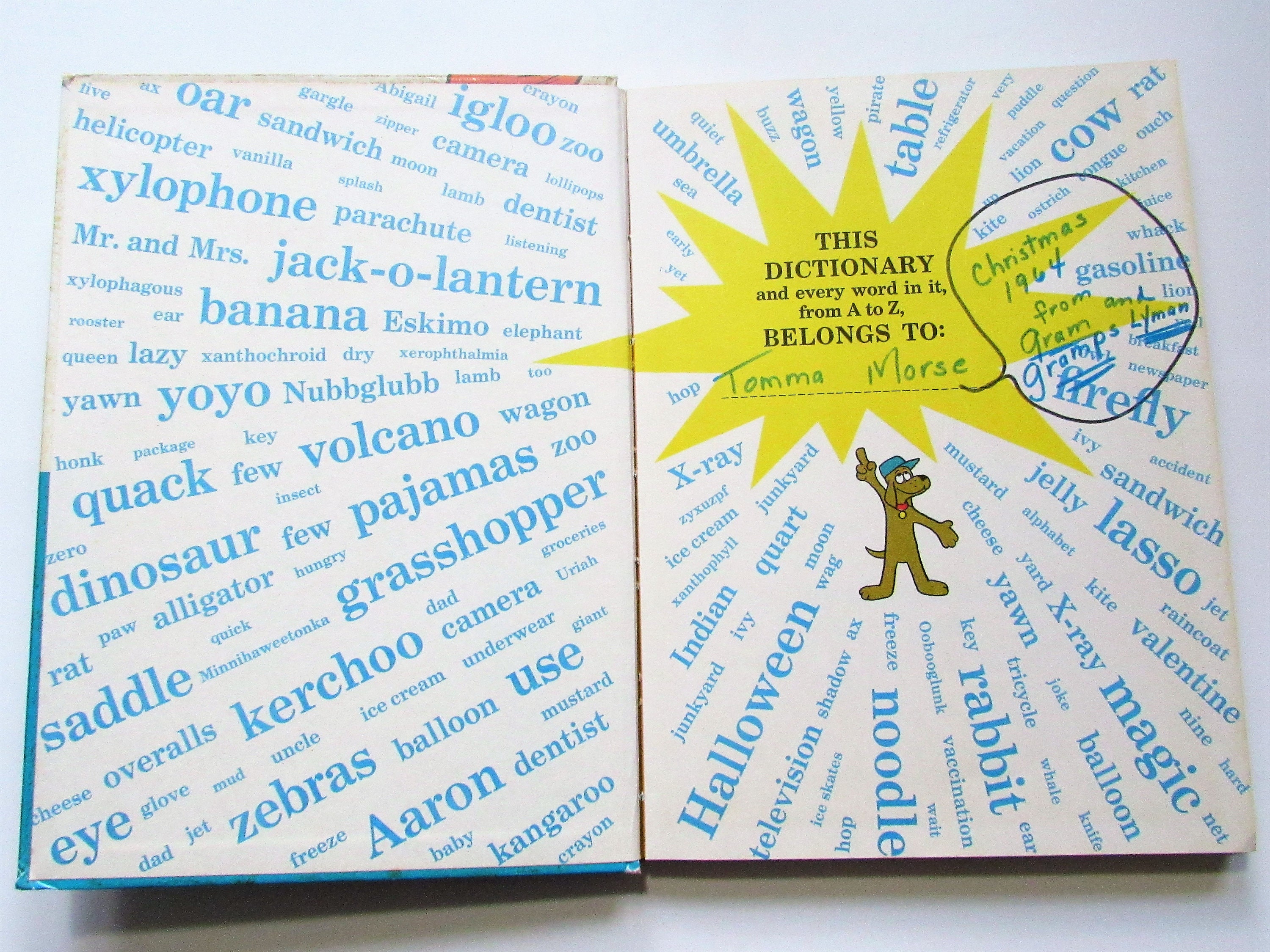 Cat in the Hat Beginner Book Dictionary 1st Ed - Etsy
