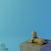 DIY , the Sphinx , Papercraft , Lowpoly , Geometric , Home Decor , 3D ...