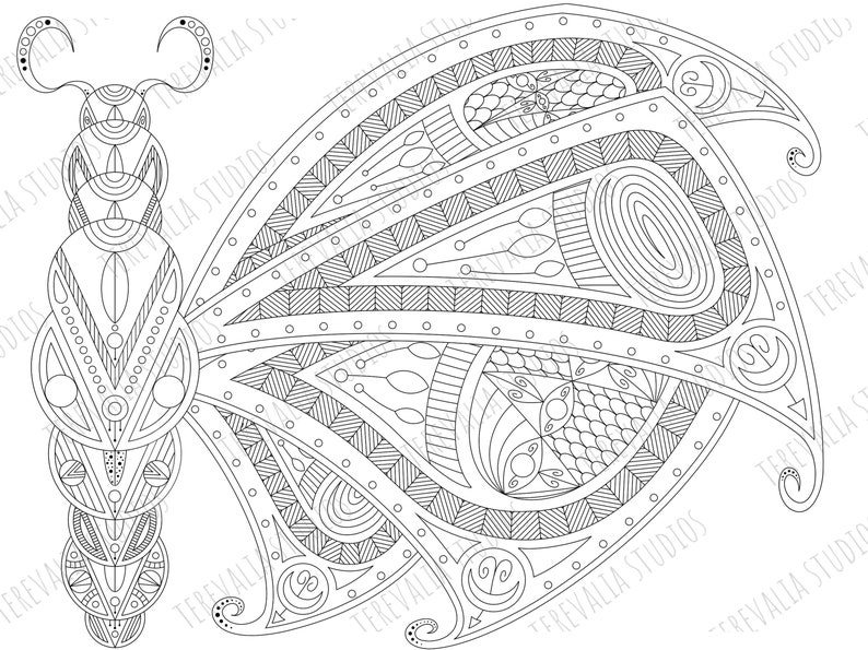 Digital Zentangle Colouring Page - Butterfly | Downloadable Print | PDF ...