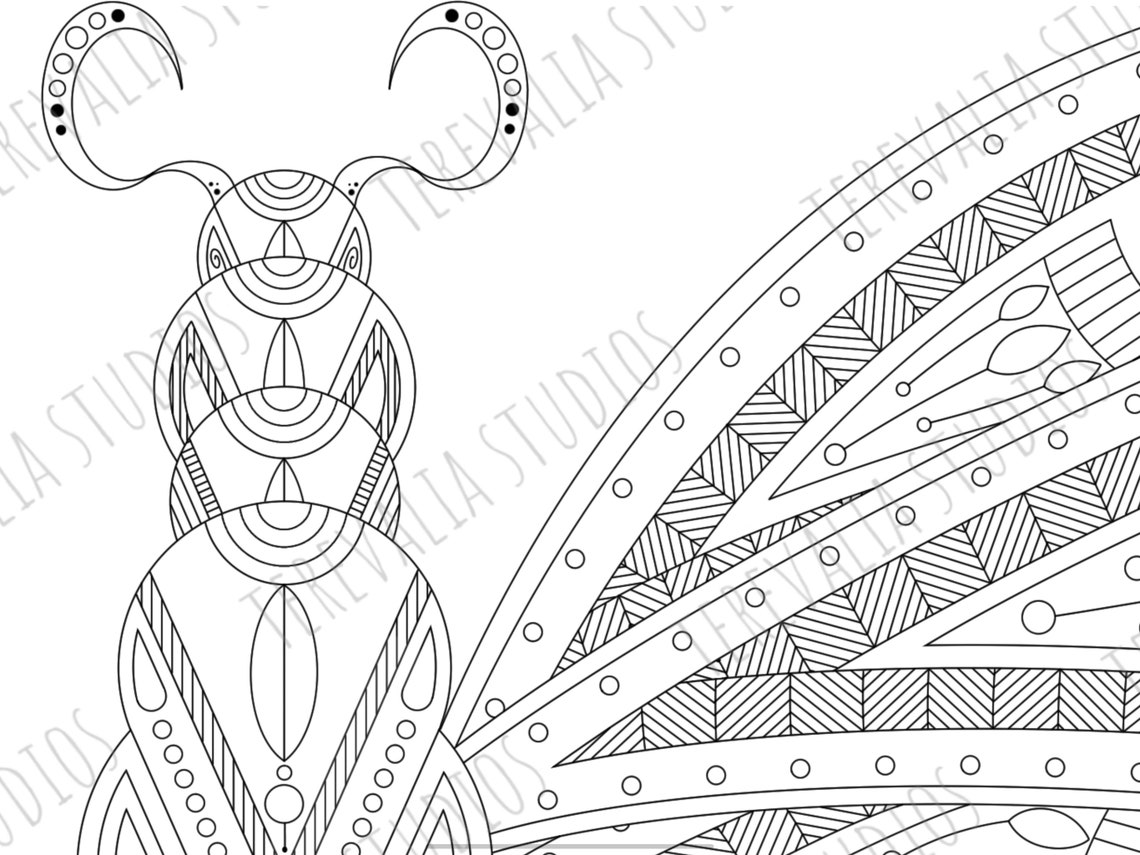 Digital Zentangle Colouring Page Butterfly Downloadable | Etsy