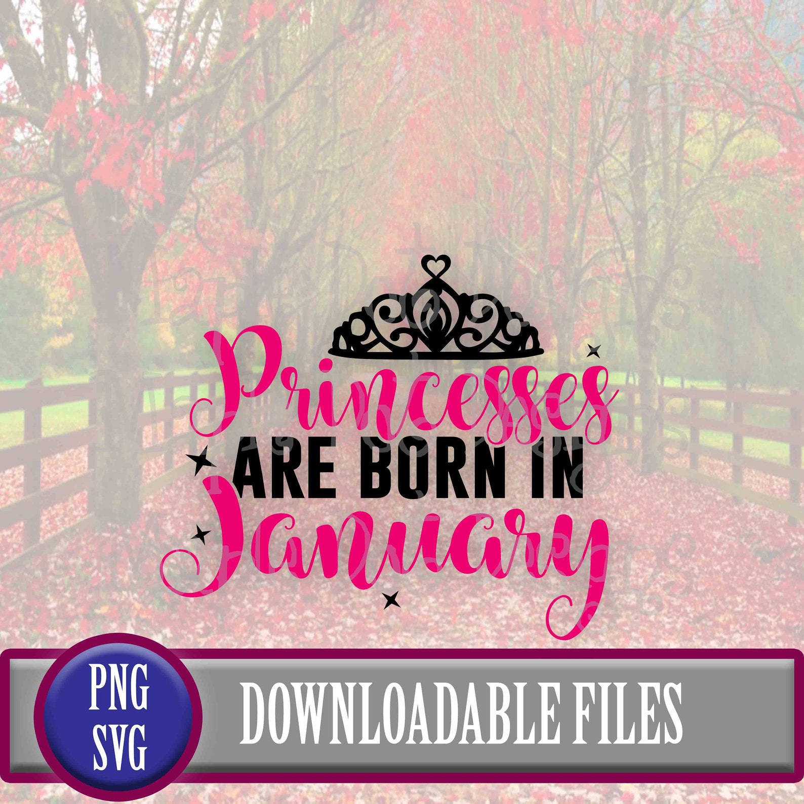 Princesses Are Born in January Svg, January Birthday Svg, Birthday Svg ...