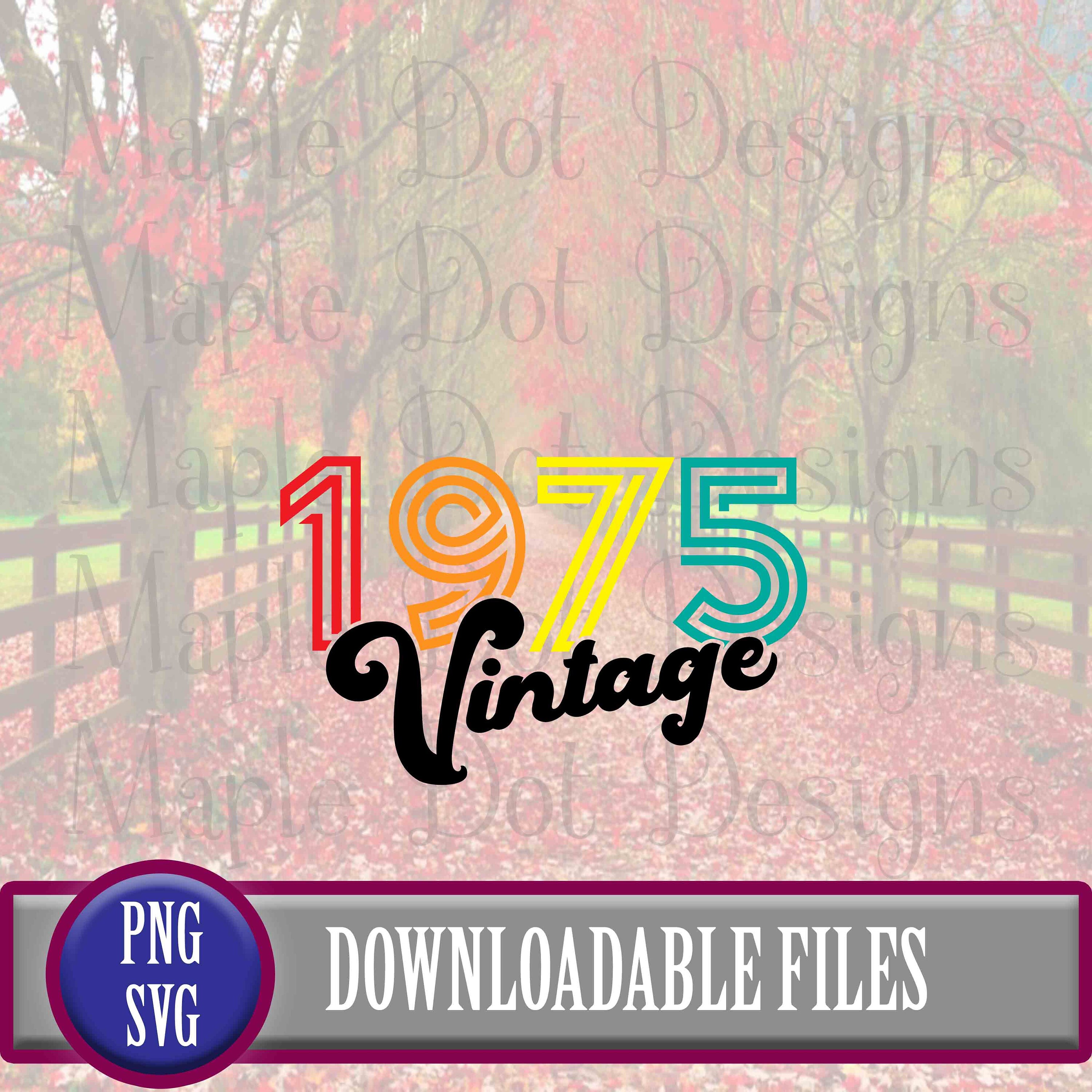 Vintage 1975 svg vintage birthday svg vintage svg 45th | Etsy