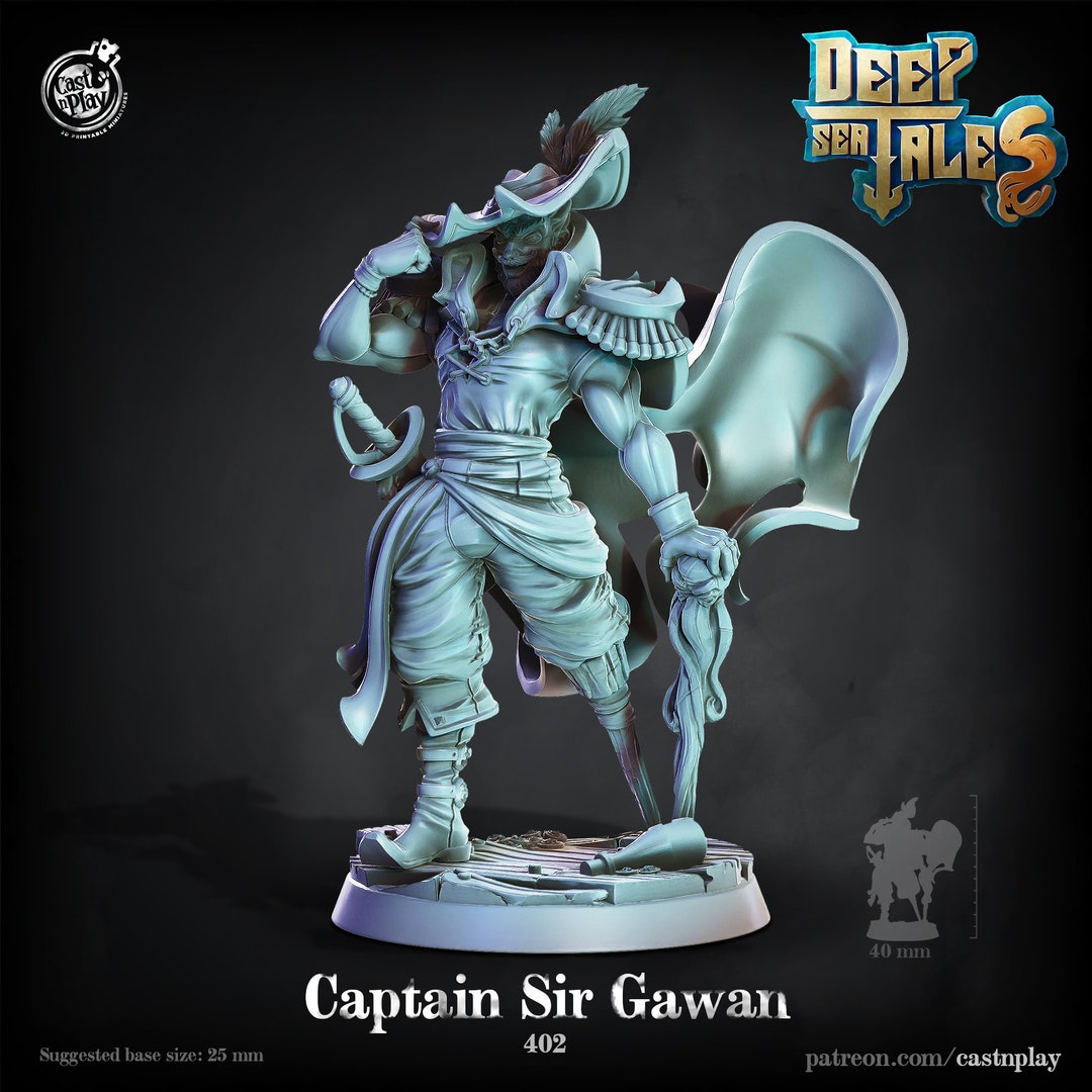 Captain Sir Gawan for Dungeons and Dragons | Pathfinder - Etsy