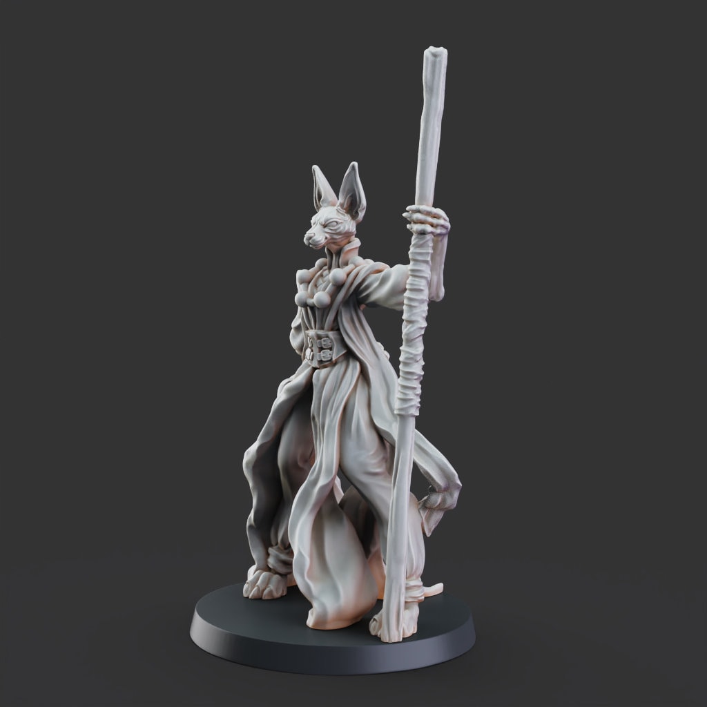 Tabaxi Monk master Mao Model for Dungeons and | Etsy