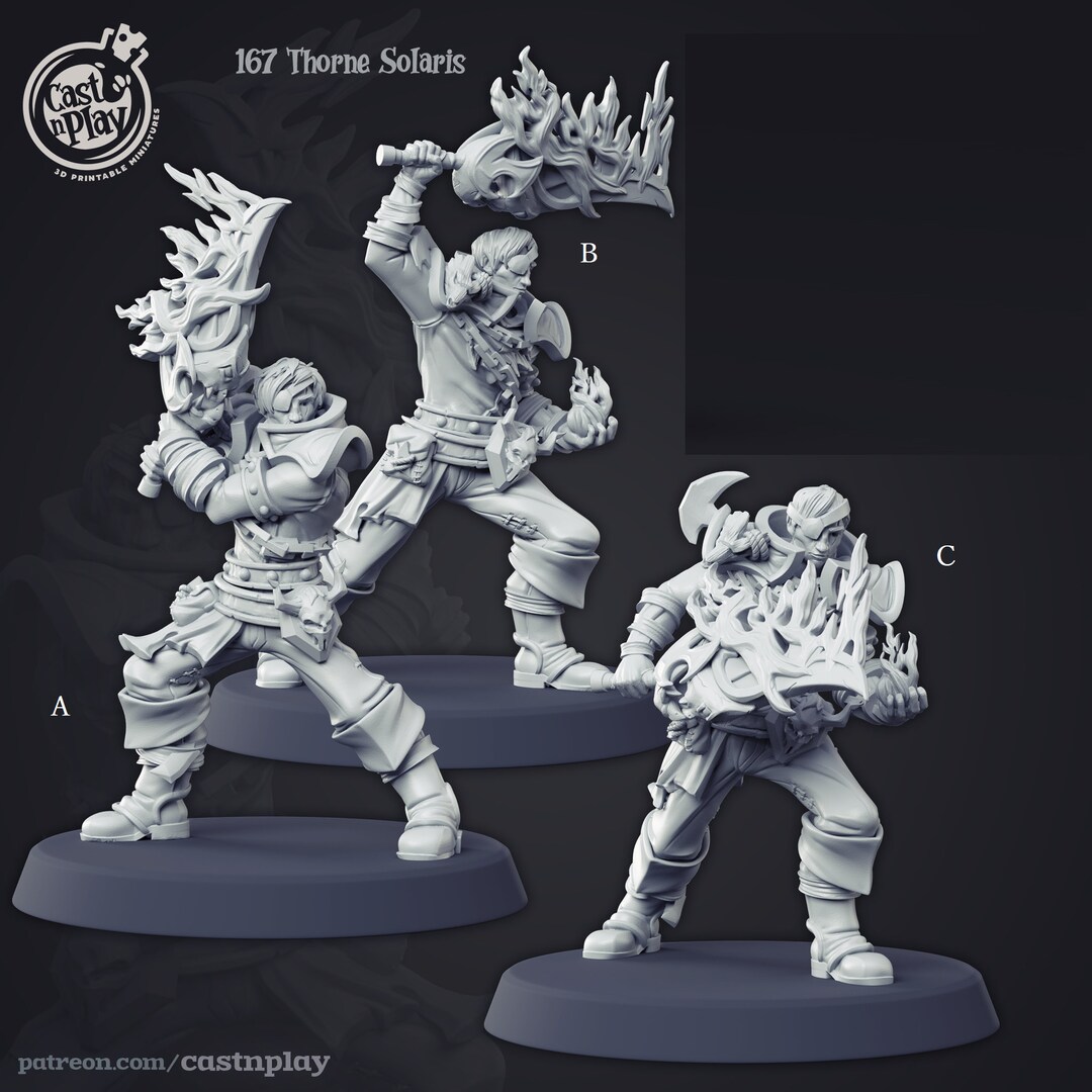 Blood Hunter "thorne Solaris" Miniature for Dungeons and Dragons ...
