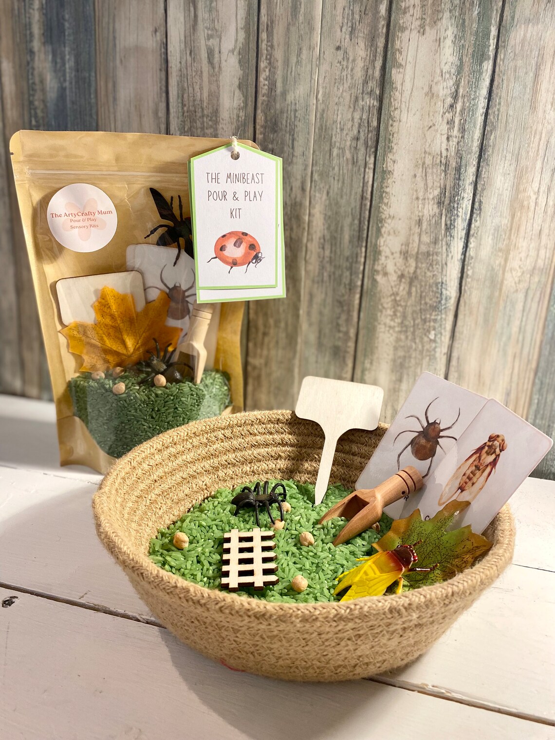 The Mini Minibeast Sensory Kit Flashcards Toddler Travel Childs Gift ...