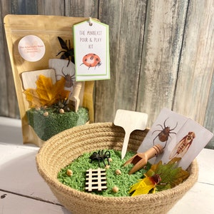 The Mini Minibeast Sensory Kit Flashcards Toddler Travel Childs Gift ...