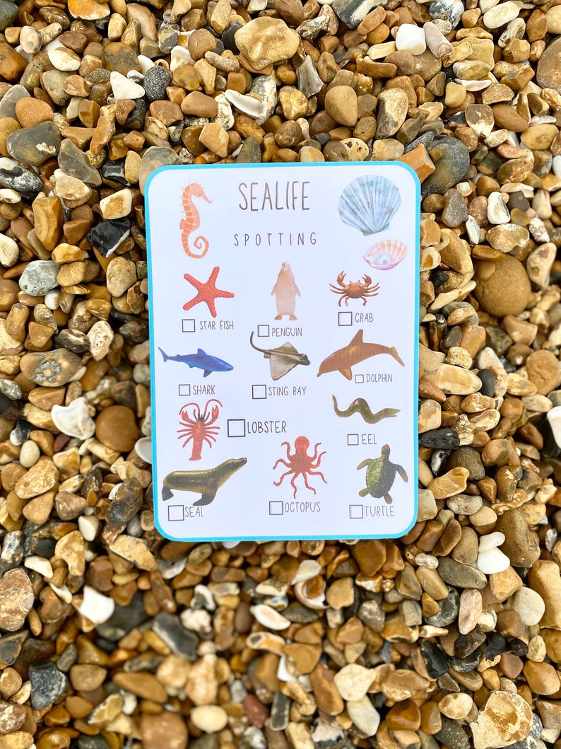 Sealife Sensory Play Kit Beach Sensory Play Marine Animals Sensory Base ...