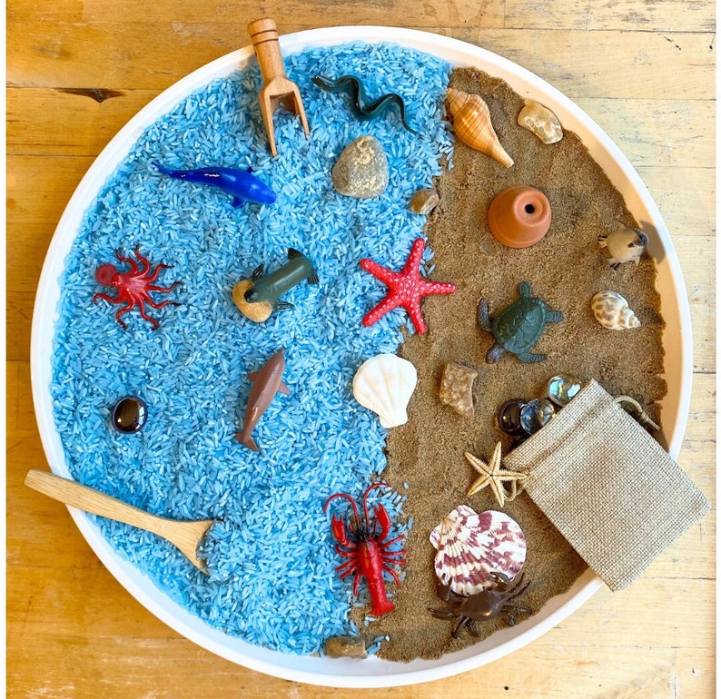 Sealife Sensory Play Kit Beach Sensory Play Marine Animals Sensory Base ...