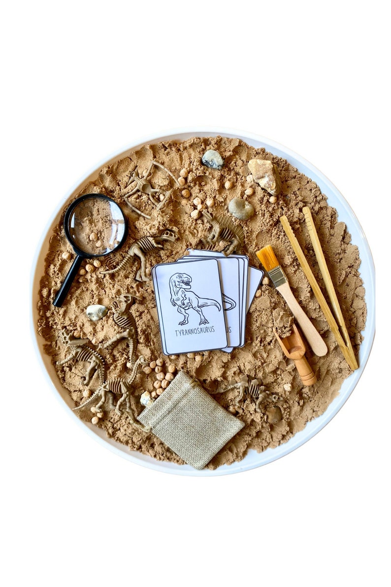 Dinosaur Excavation Sensory Play Kit Dino Dig Tuff Tray Sensory Base ...