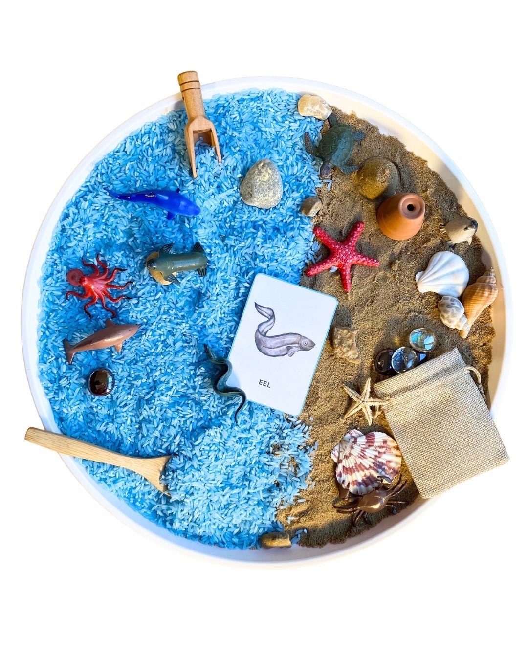 Sealife Sensory Play Kit Beach Sensory Play Marine Animals Sensory Base ...