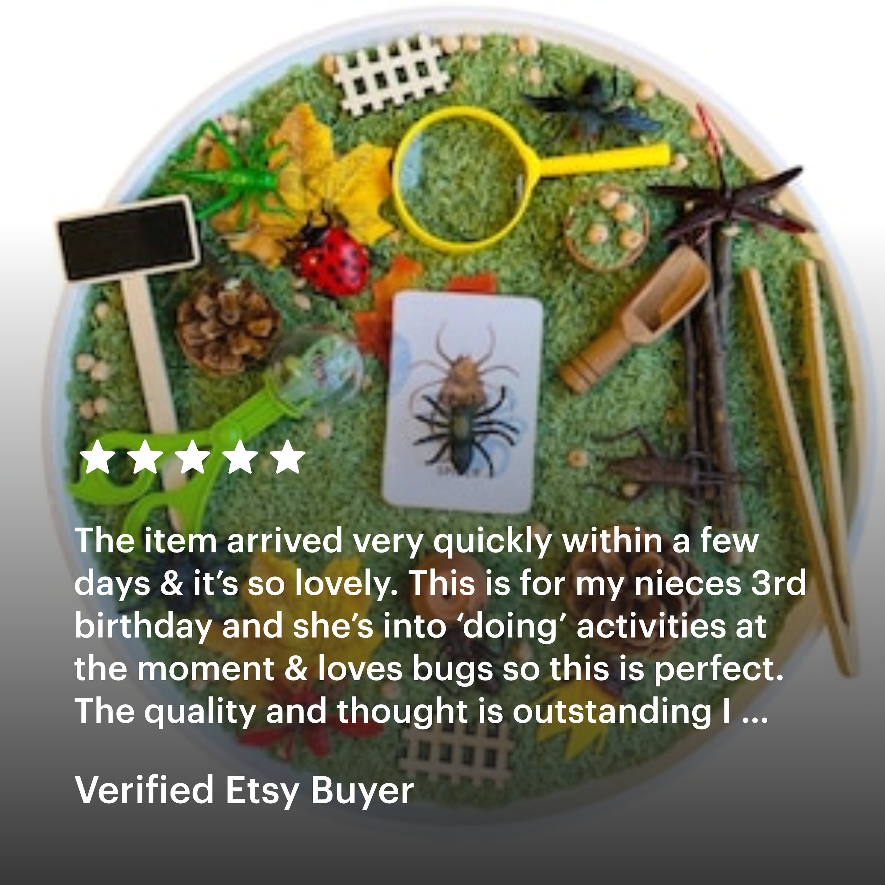 Minibeast Sensory Kit I Flash Cards Minibeast Bug Activity Messy Play ...