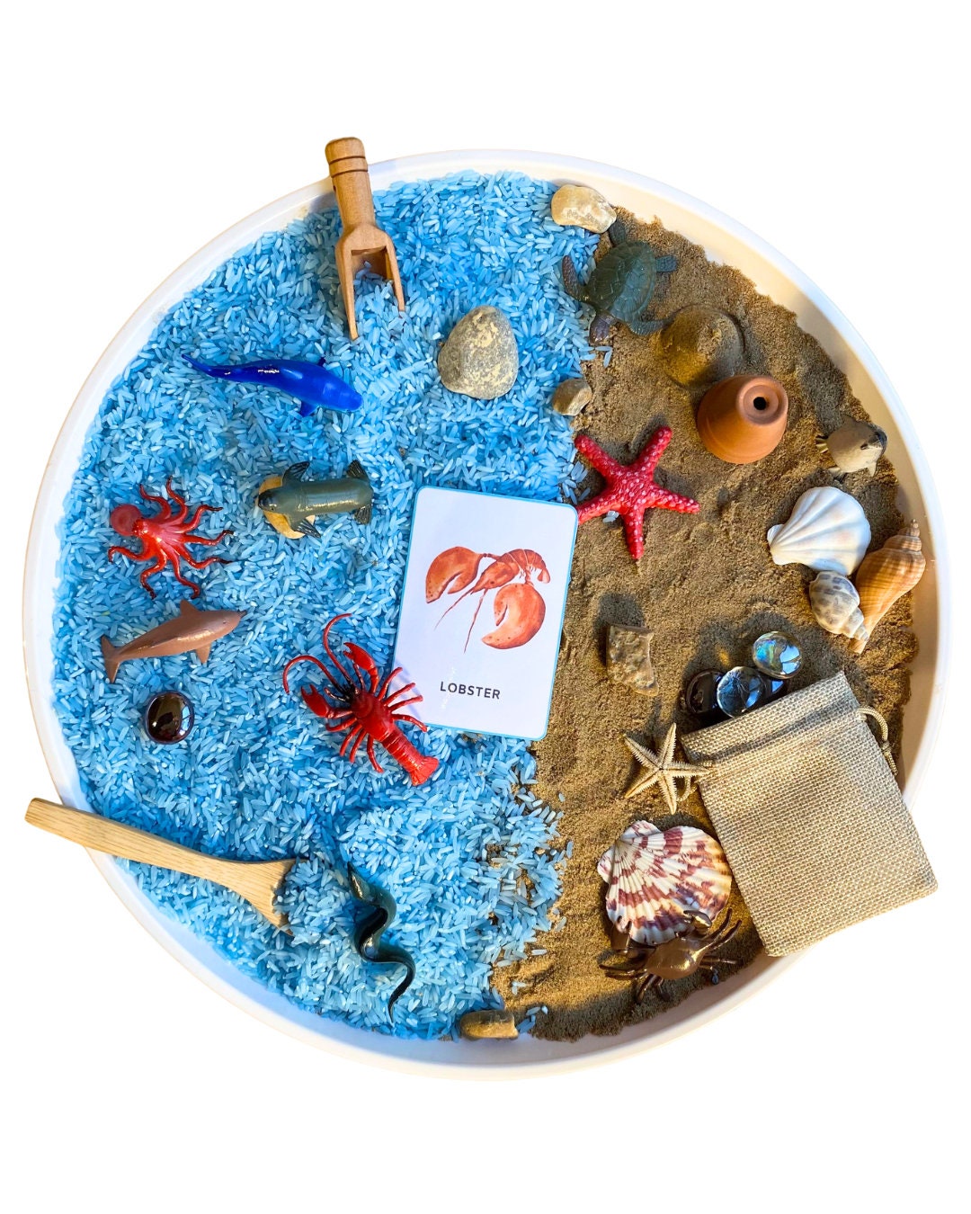 Sealife Sensory Play Kit Beach Sensory Play Marine Animals Sensory Base ...