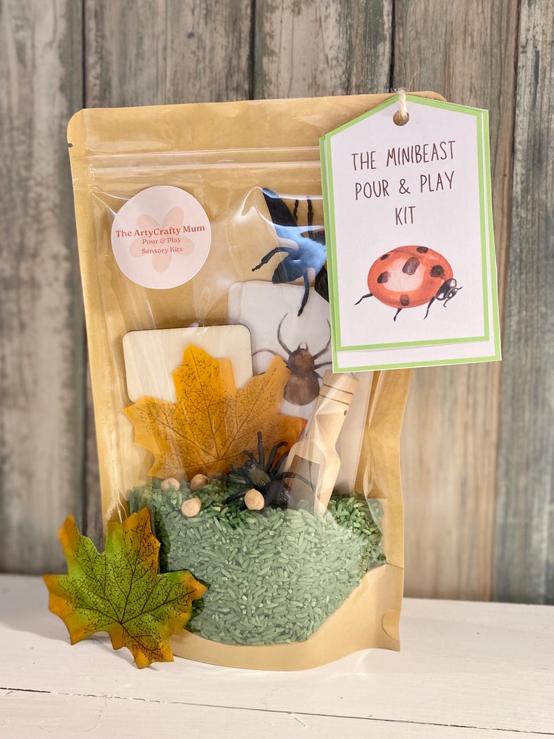 The Mini Minibeast Sensory Kit Flashcards Toddler Travel Childs Gift ...