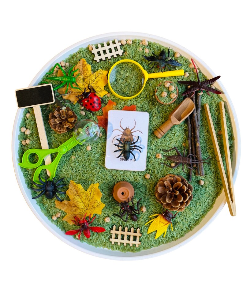 Minibeast Sensory Kit I Flash Cards | Minibeast Bug Activity | Messy ...