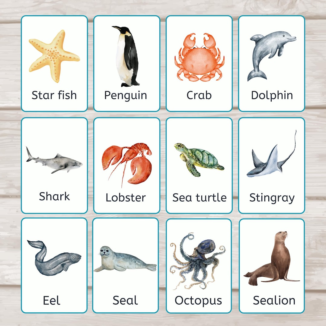 Printable Sea Life Flashcards — 12 A4 Cut-out Watercolour Cards ...