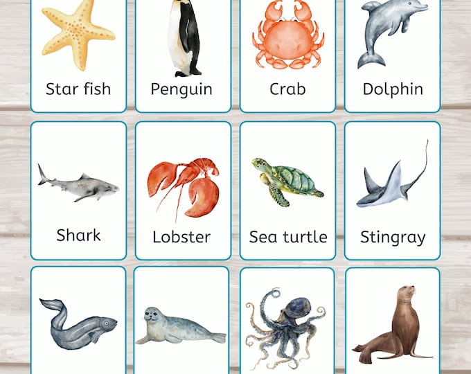 Printable Sea Life Flashcards — 12 A4 Cut-out Watercolour Cards ...