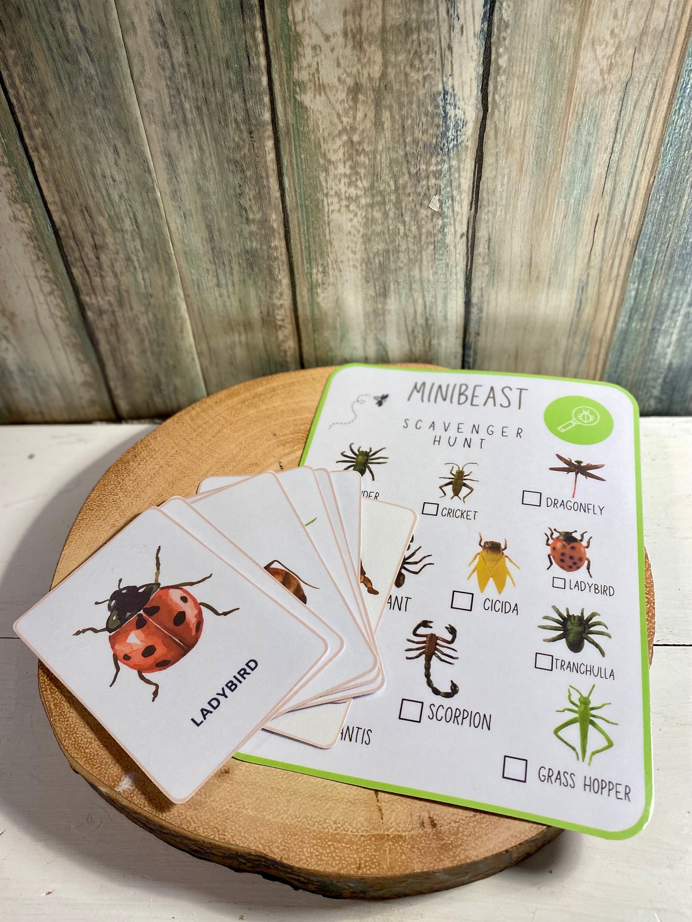 Minibeast Sensory Kit I Flash Cards Minibeast Bug Activity Messy Play ...