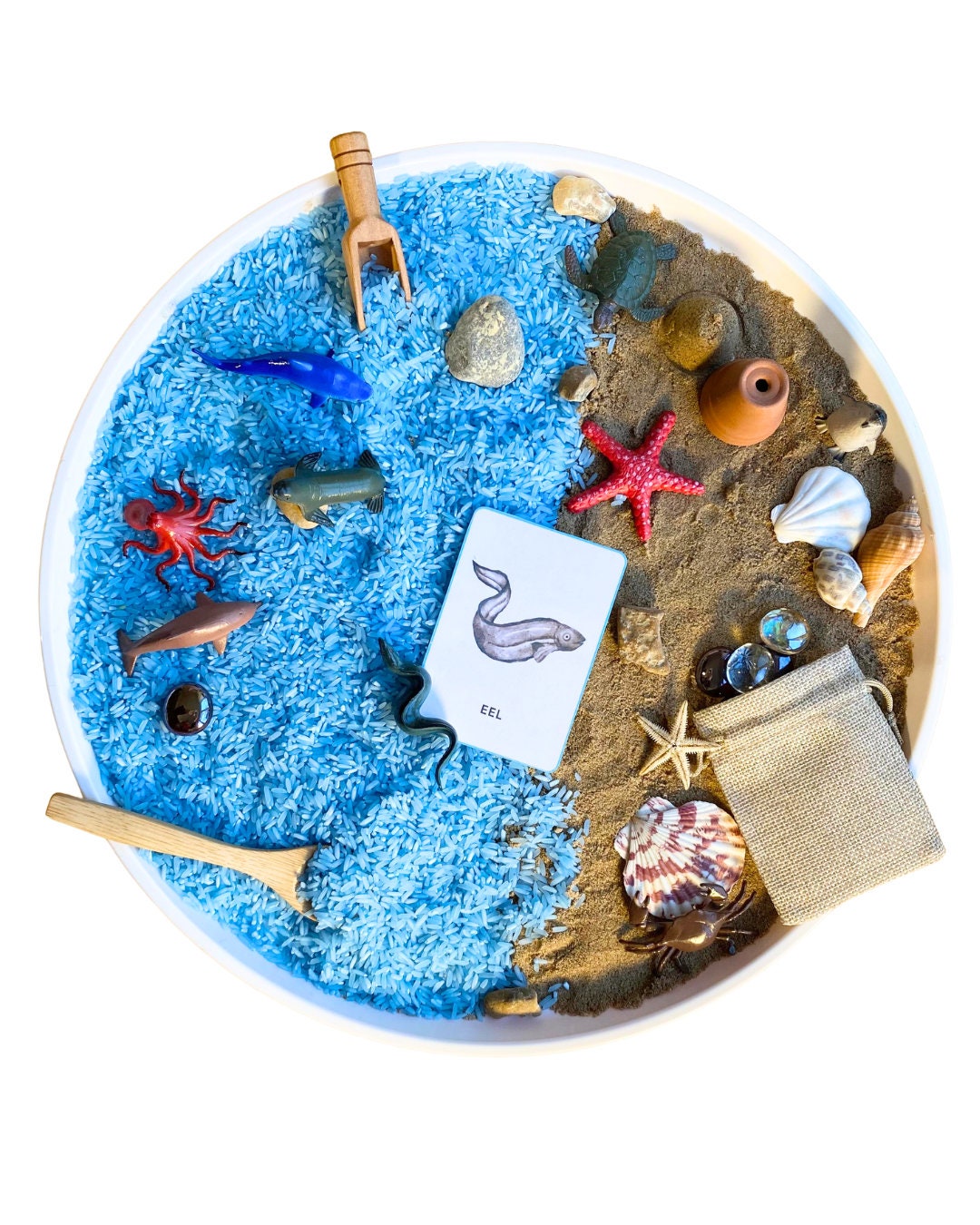 Sealife Sensory Play Kit Beach Sensory Play Marine Animals Sensory Base ...
