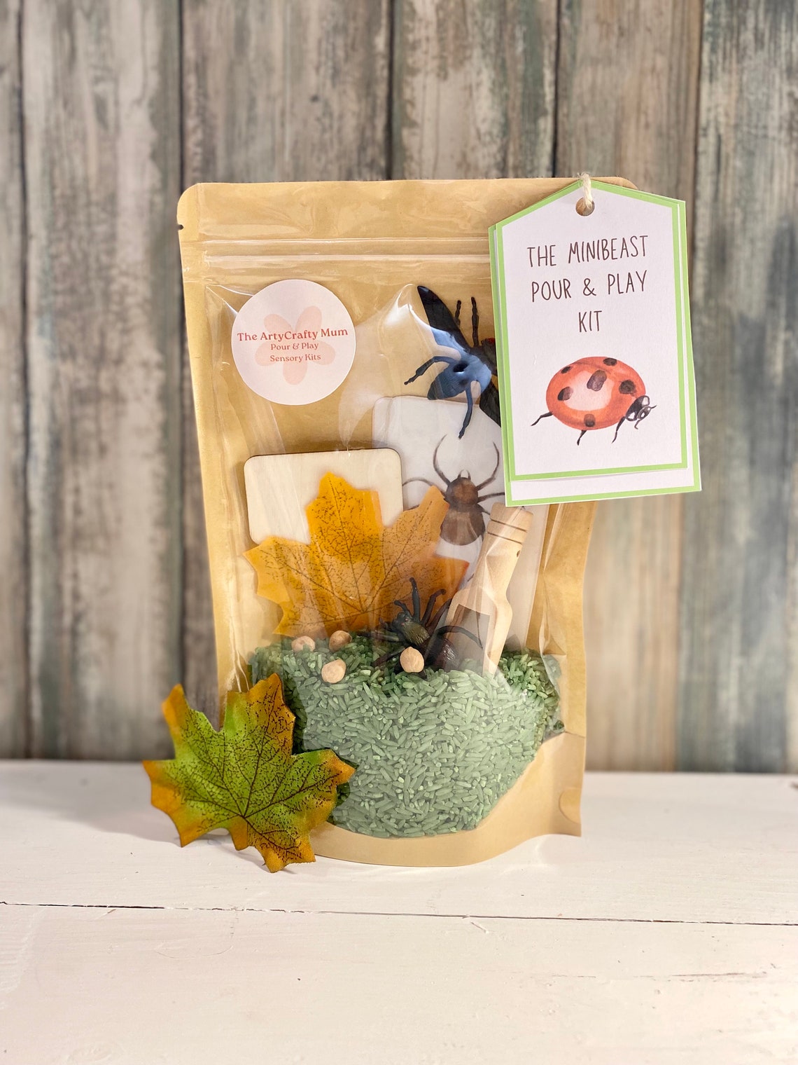The Mini Minibeast Sensory Kit Flashcards Toddler Travel Childs Gift ...