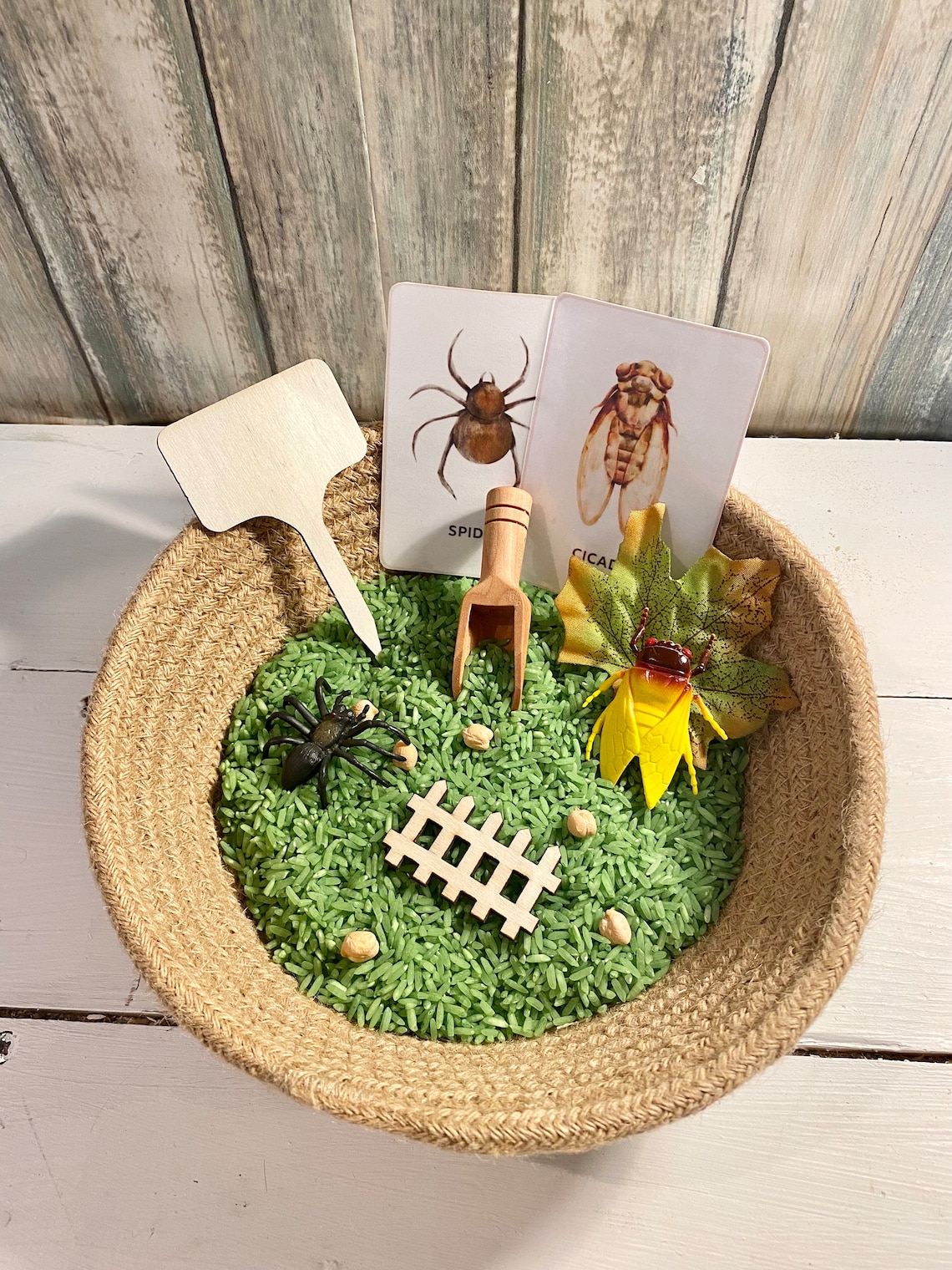 The Mini Minibeast Sensory Kit Flashcards Toddler Travel Childs Gift ...