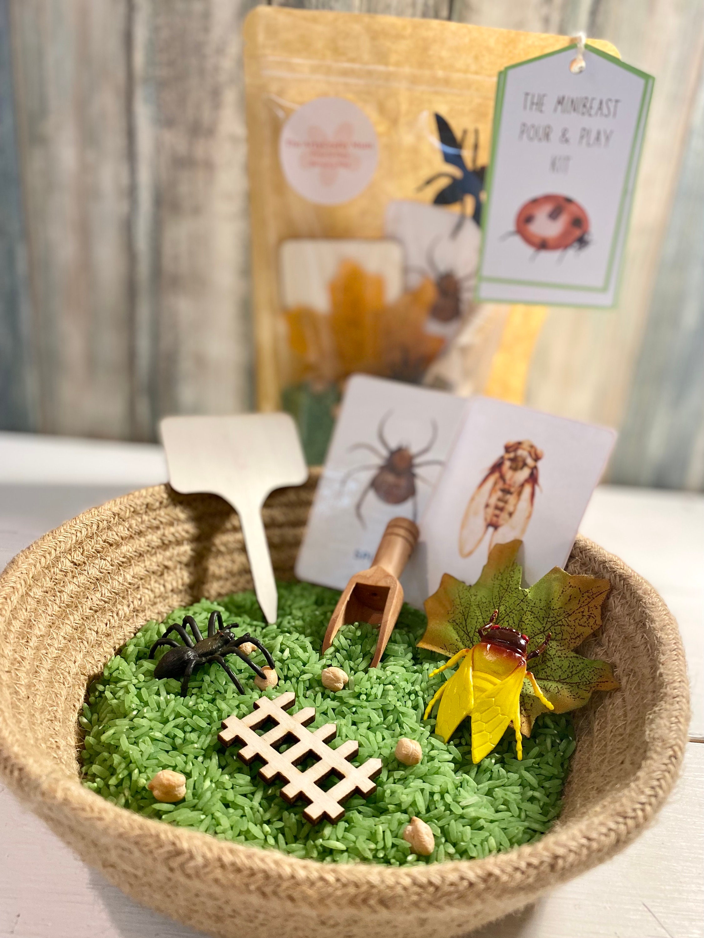 The Mini Minibeast Sensory Kit Flashcards Toddler Travel Childs Gift ...